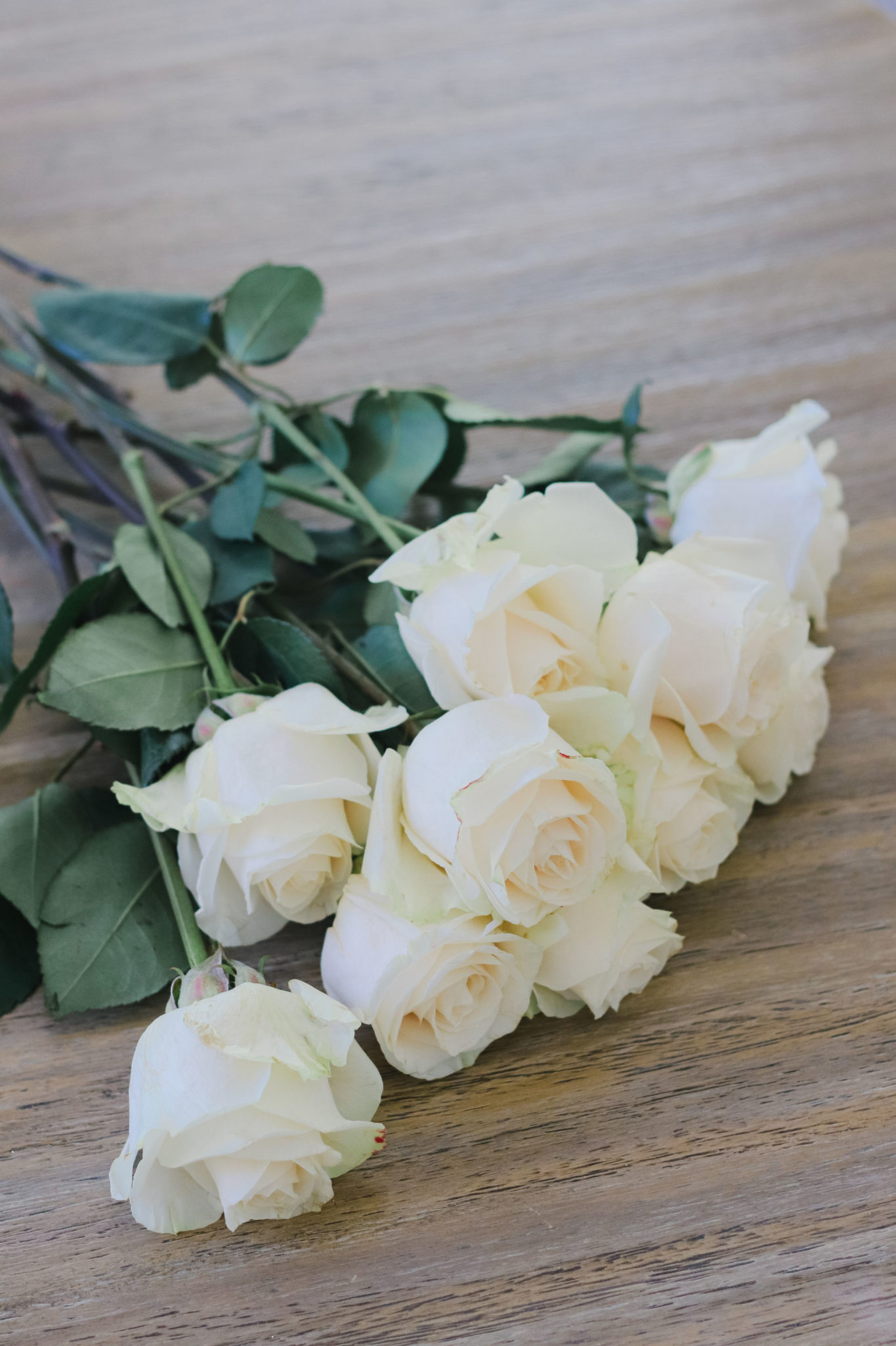 How to Fluff Your Roses (Tutorial) - Carolina Charm