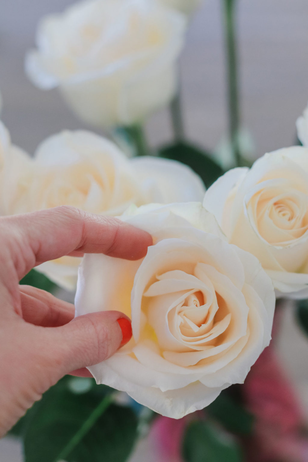 How to Fluff Your Roses (Tutorial) - Carolina Charm