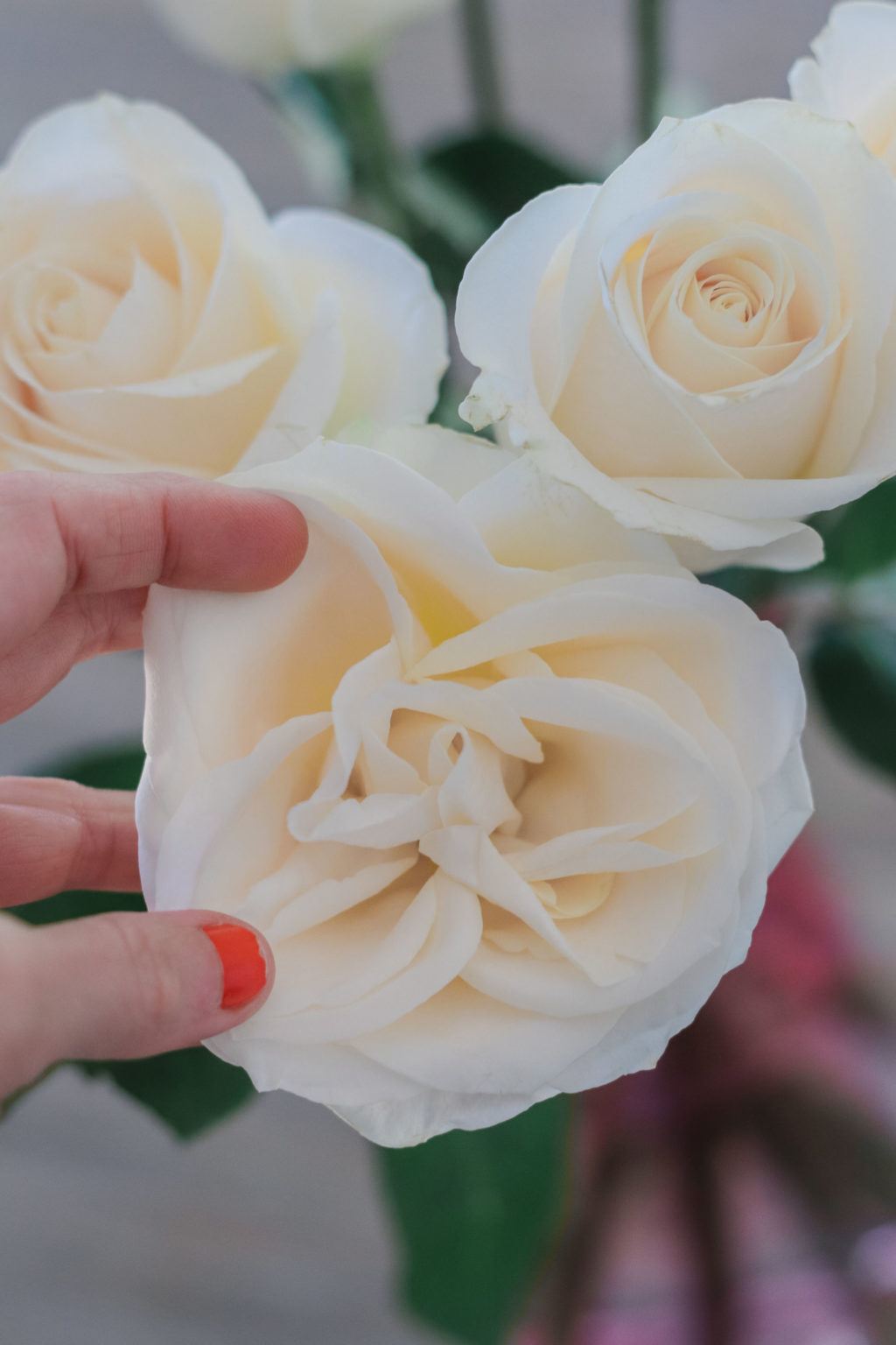 How to Fluff Your Roses (Tutorial) - Carolina Charm