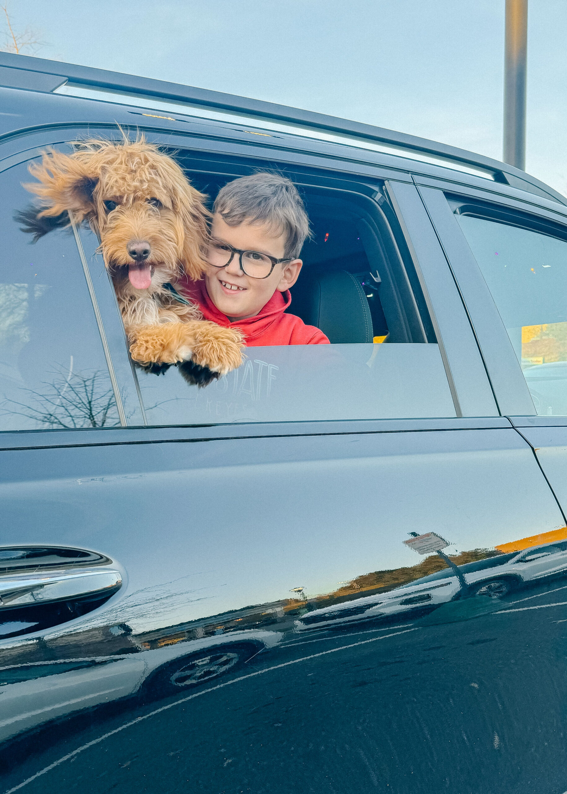 IOL Update & Surgery #2 - Carolina Charm