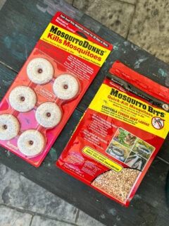 How to Get Rid of Mosquito Larvae | NC Charm Blog