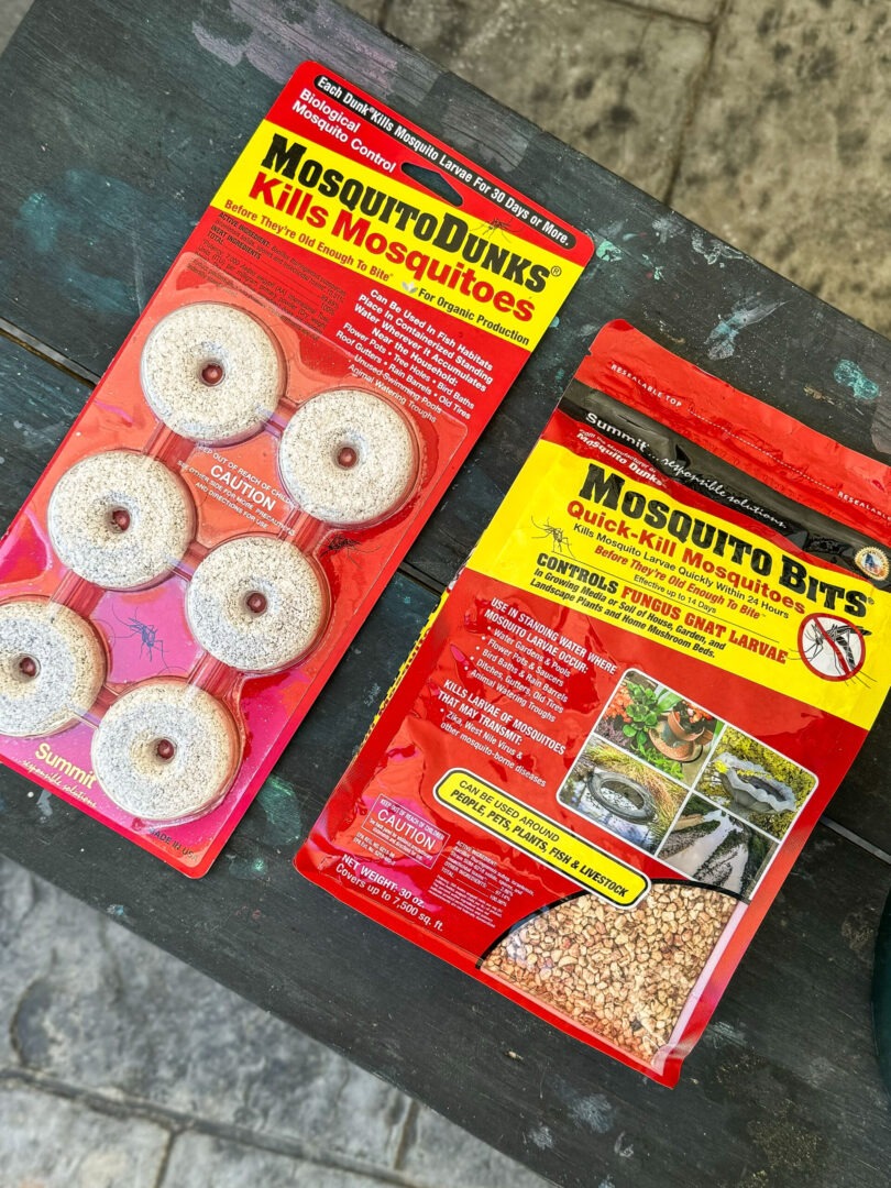 How to Get Rid of Mosquito Larvae | NC Charm Blog