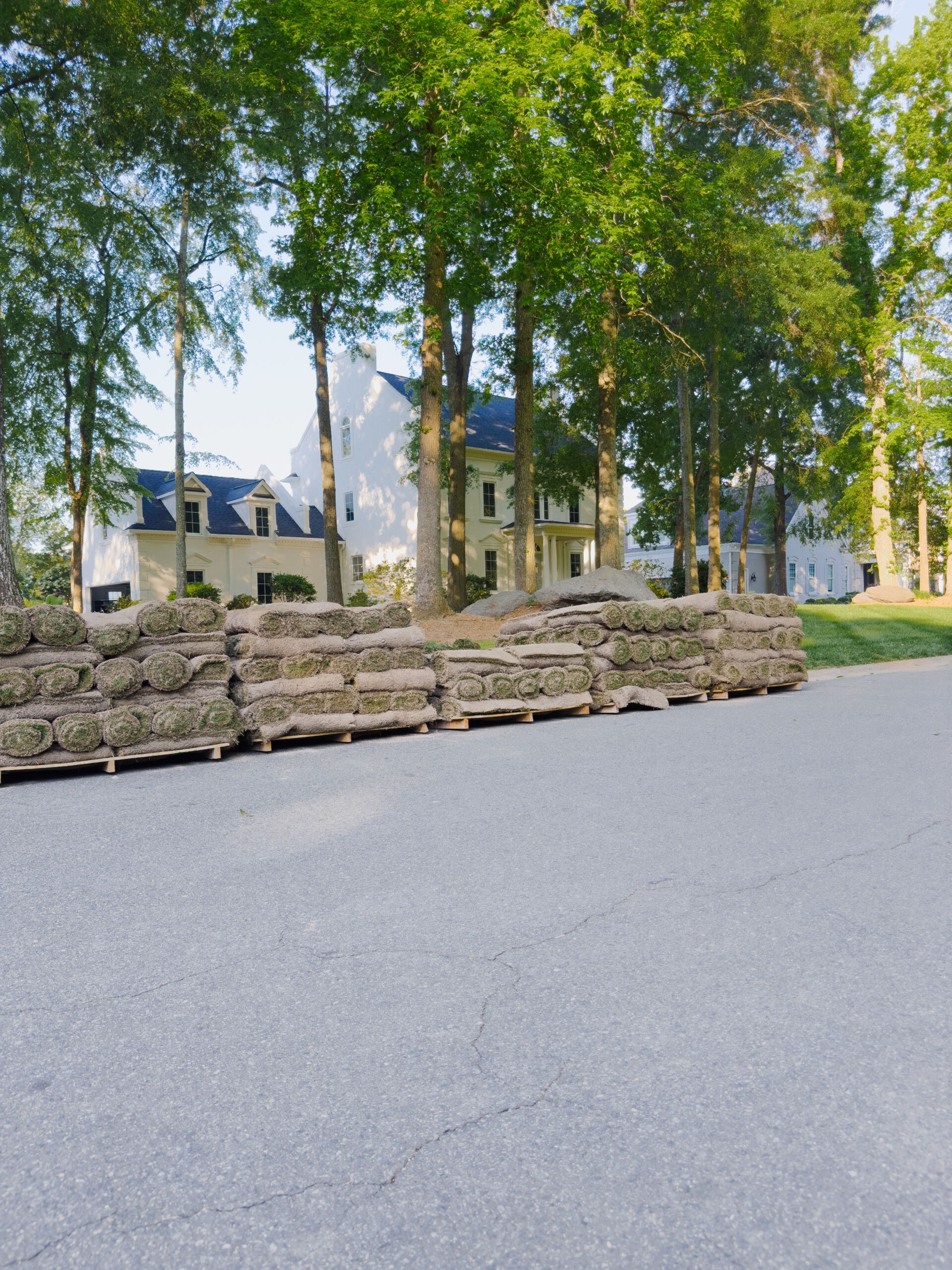 Lemongrass Ginger Margaritas - Carolina Charm