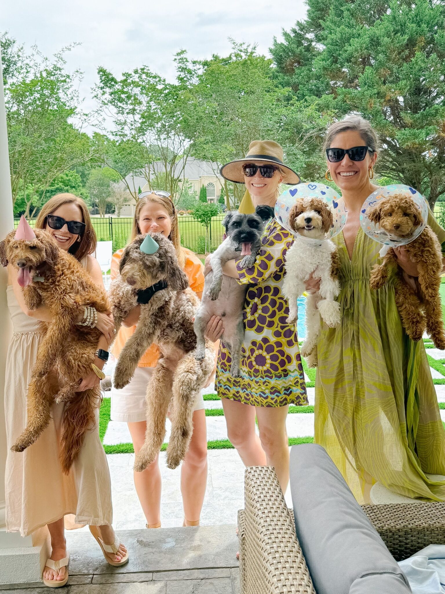 Mabel's 1st Birthday Pawty