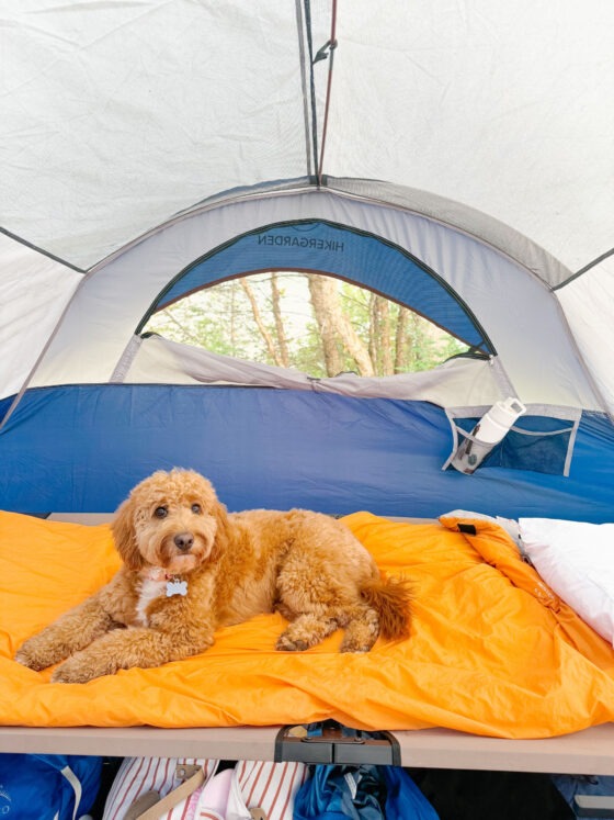 Bandits Roost NC Campground Trip