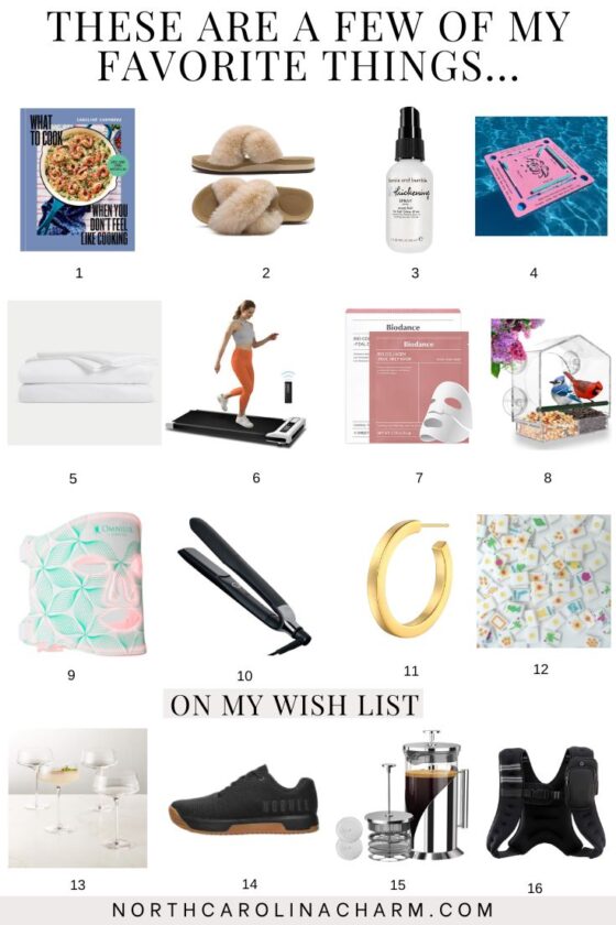 These Are A Few of My Favorite Things (& Wish List for Santa)